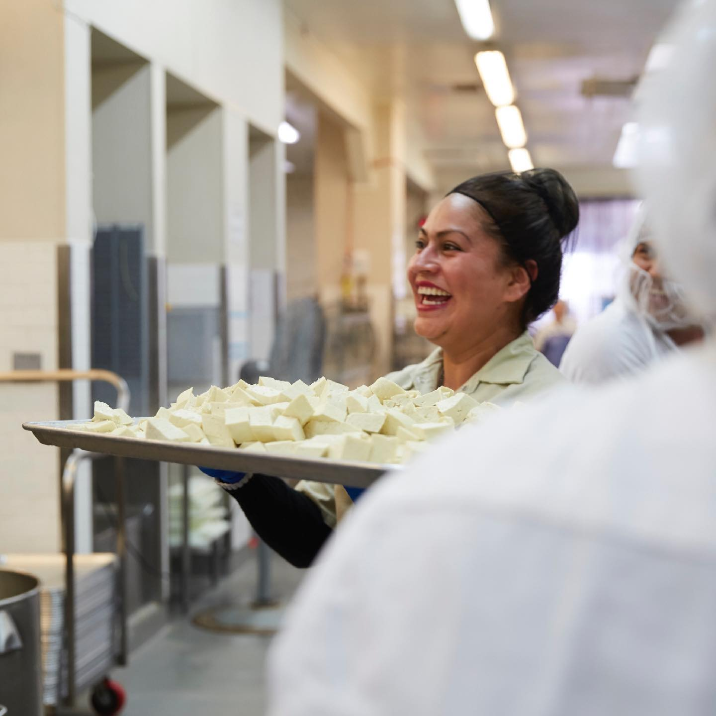 Organic Tofu | Hodo Foods – Mamahuhu